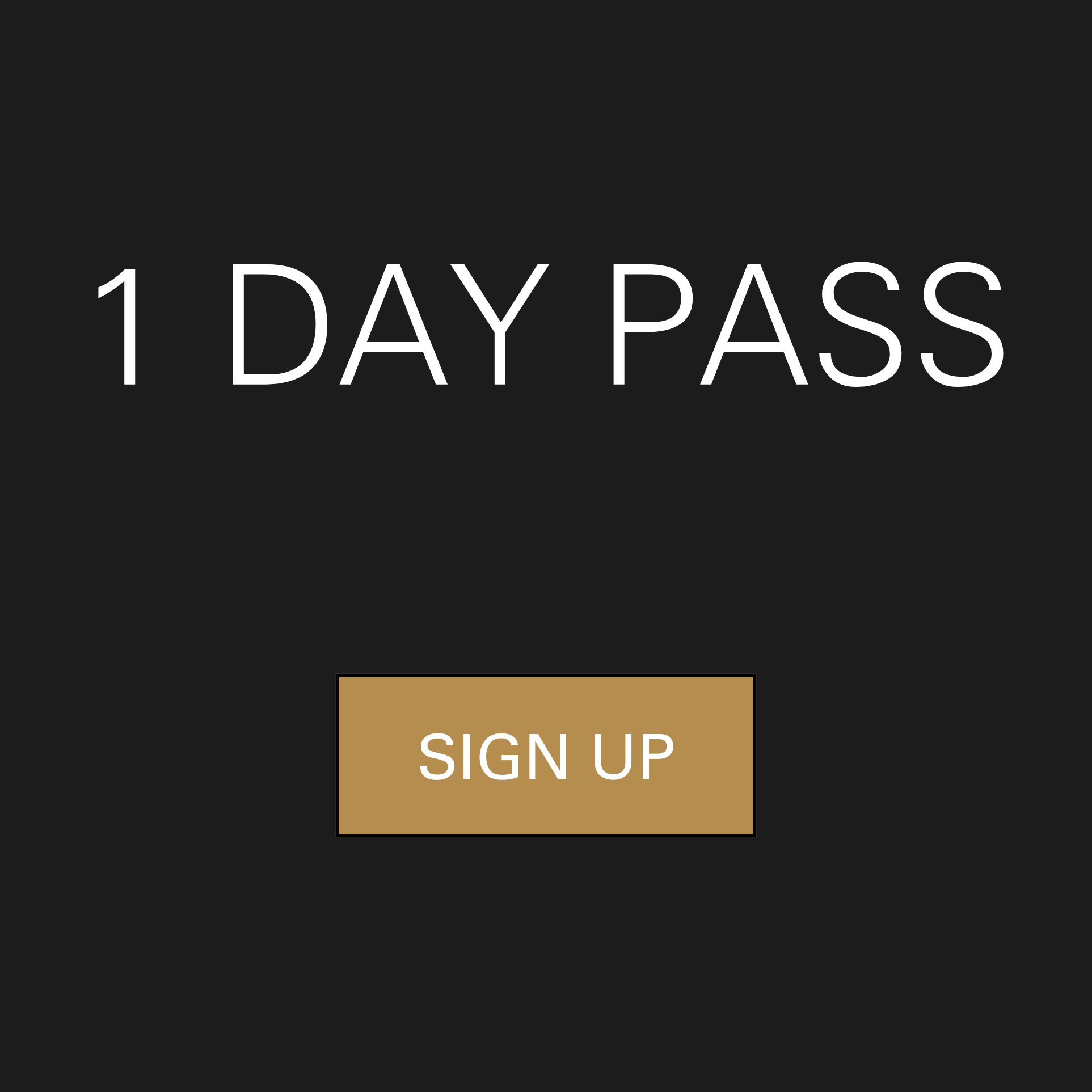 1 DAY PASS – PLAYS THAT PAY